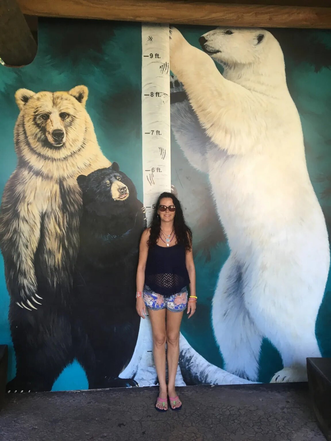 Polar Bear Height - How Tall is a Polar Bear? - Gentle Wit